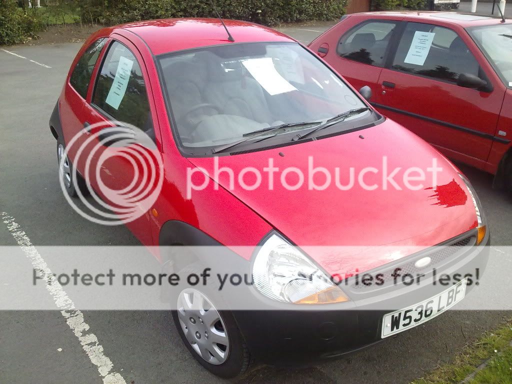 Red Ford Ka, 'W' reg, Nice and tidy, 16,000miles* * * | Reptile Forums